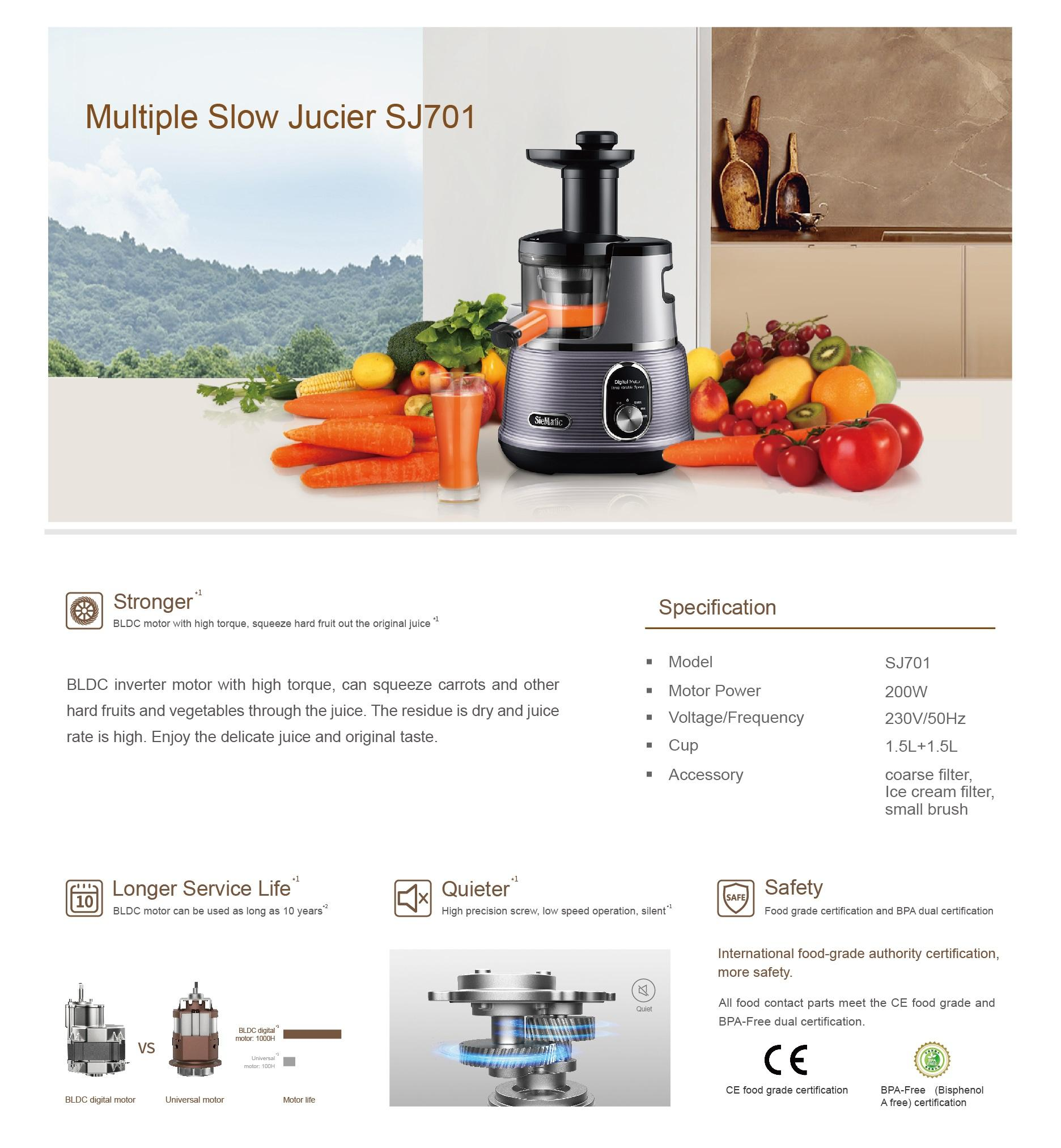 Slower Juicer - KingClean